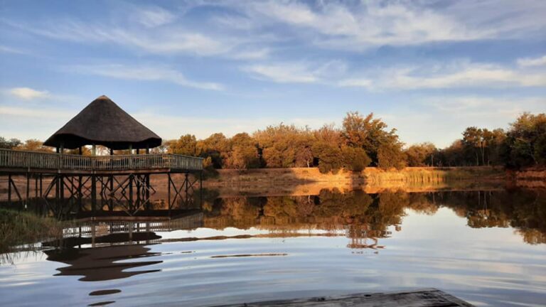 Activities – Tachiro